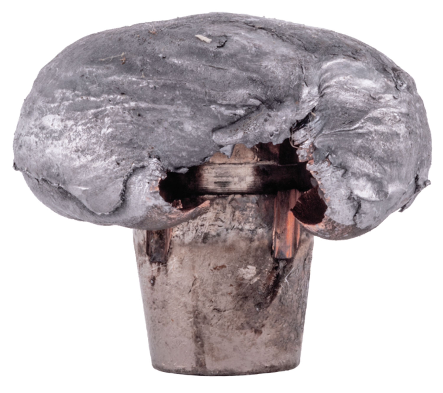 Federal P7RTA1 7mm Rem Mag Terminal Ascent 155 gr Hunting Ammo - Rifle ...